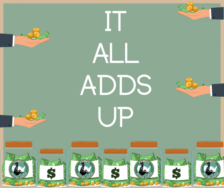 It All Adds Up | Primate Rescue Center