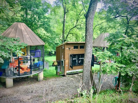 Our Sanctuary | Primate Rescue Center