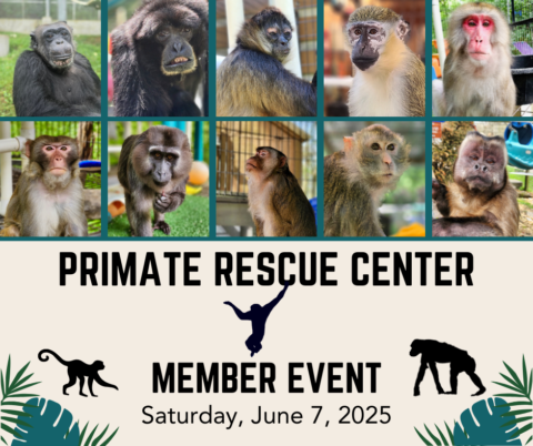 Primate Rescue Center | Kentucky, USA