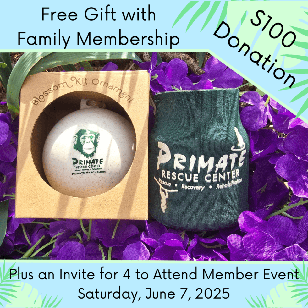 Primate Rescue Center | Kentucky, USA